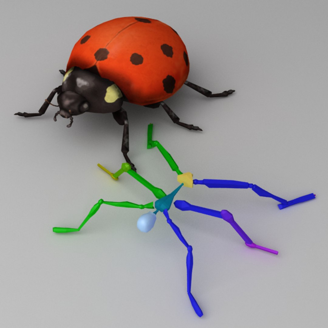 3d Model Rigged Ladybug