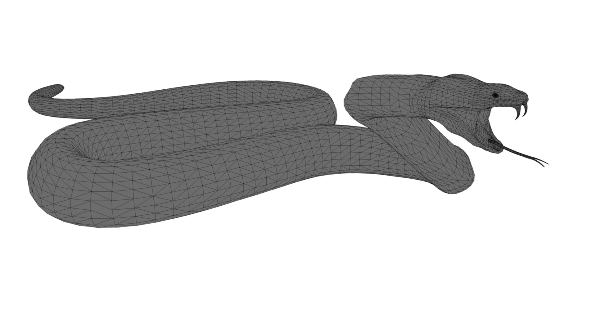 Snake Model - TurboSquid 2275694