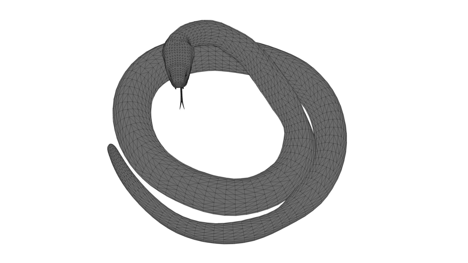 Snake Model - TurboSquid 2275694