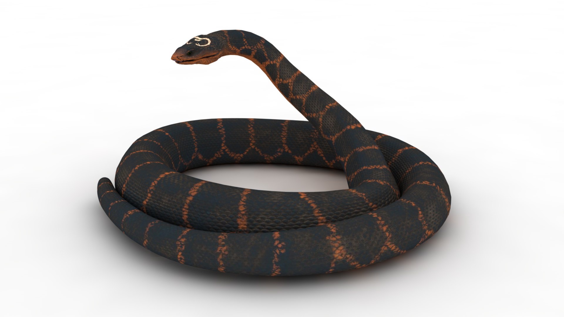 Snake Model - TurboSquid 2275694
