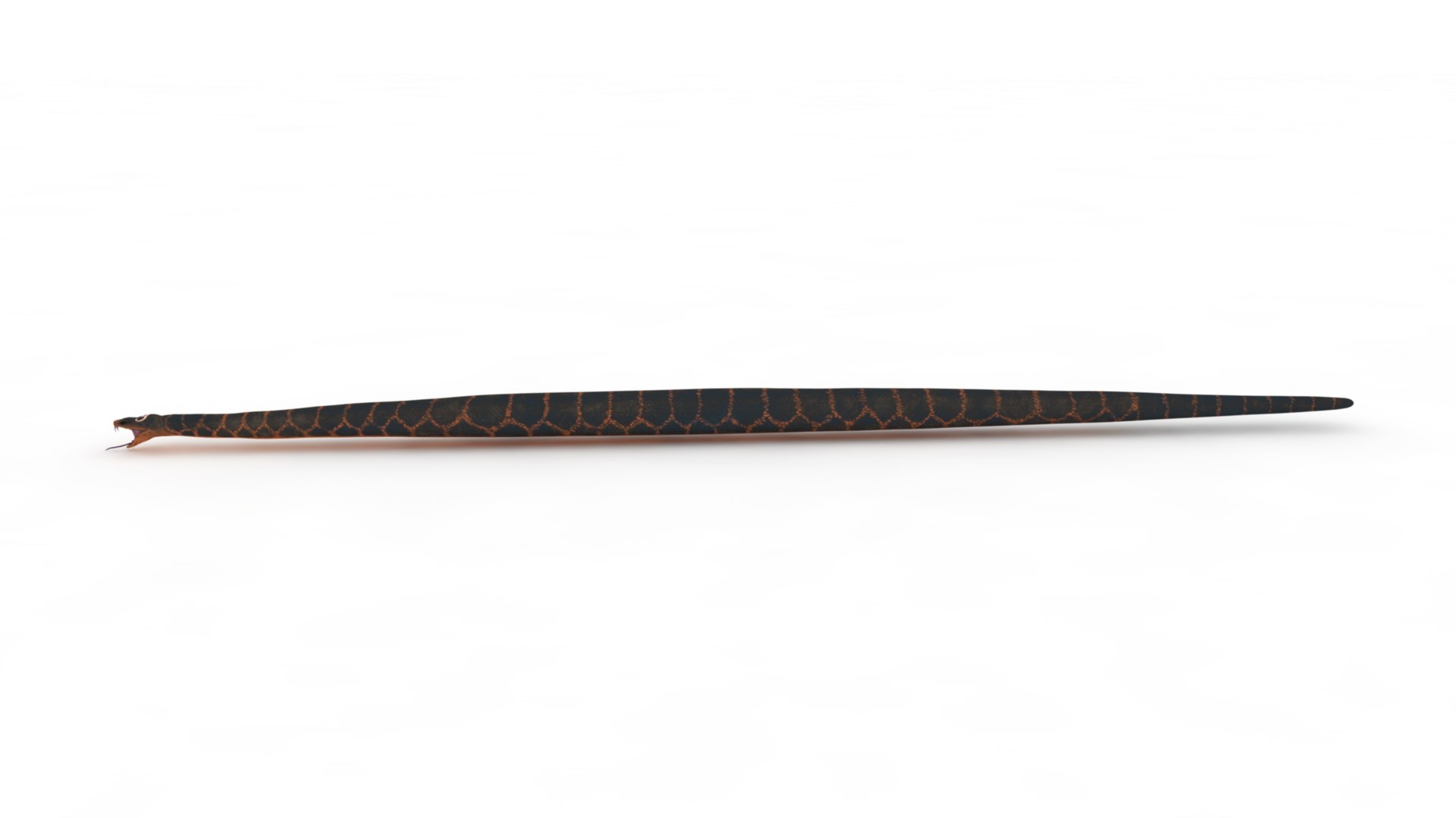Snake Model - TurboSquid 2275694