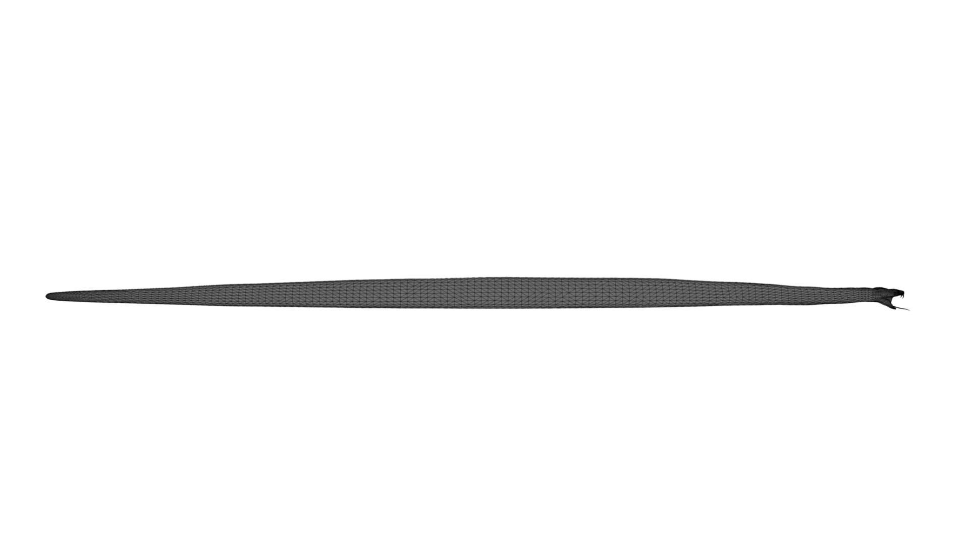 Snake Model - TurboSquid 2275694