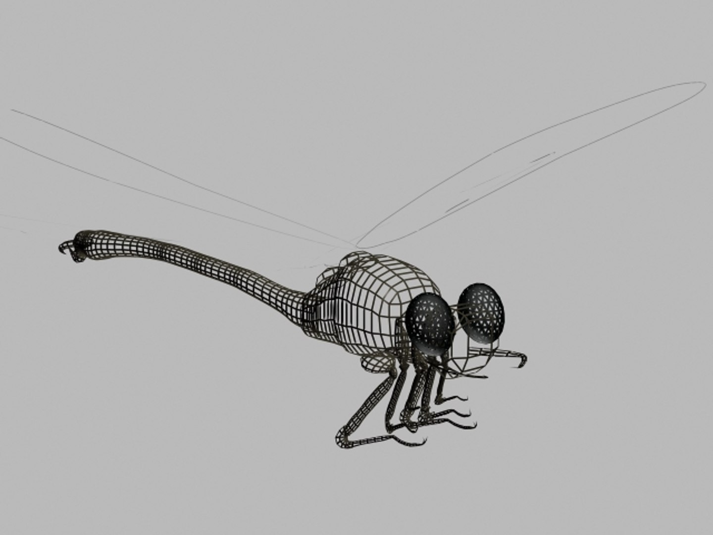 3d Dragonfly Animation Model