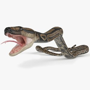 3D Snake Models - Browse & Download Formats - TurboSquid