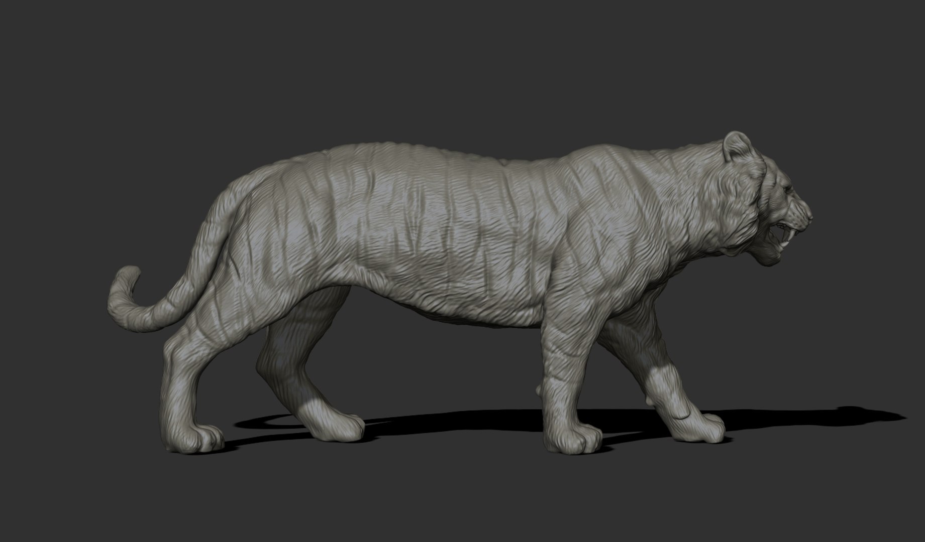Tiger Walking Model - TurboSquid 1814840