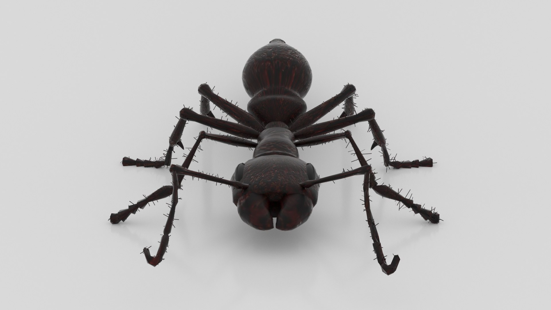 Ant Model - TurboSquid 168448