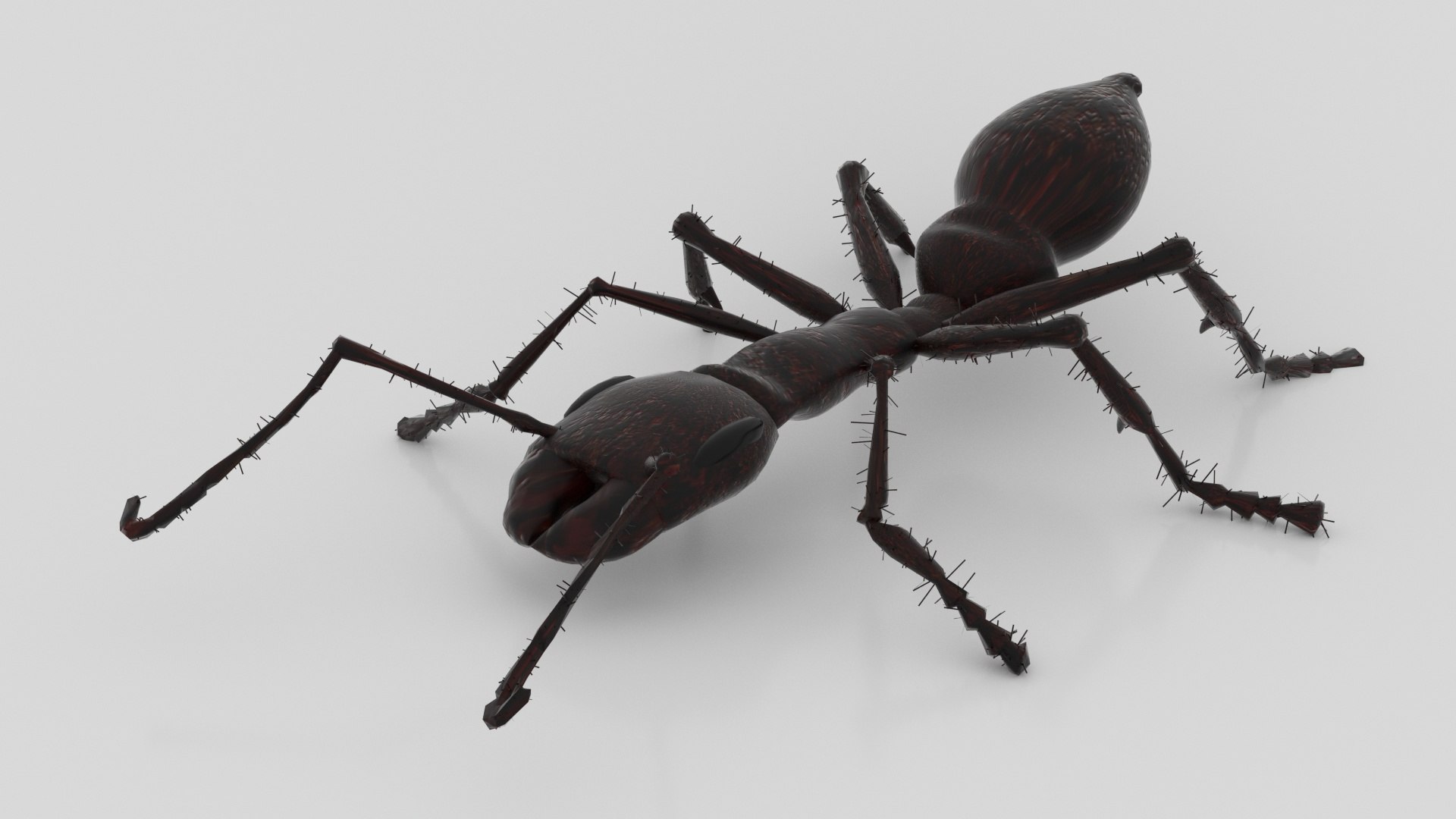 Ant Model - TurboSquid 168448