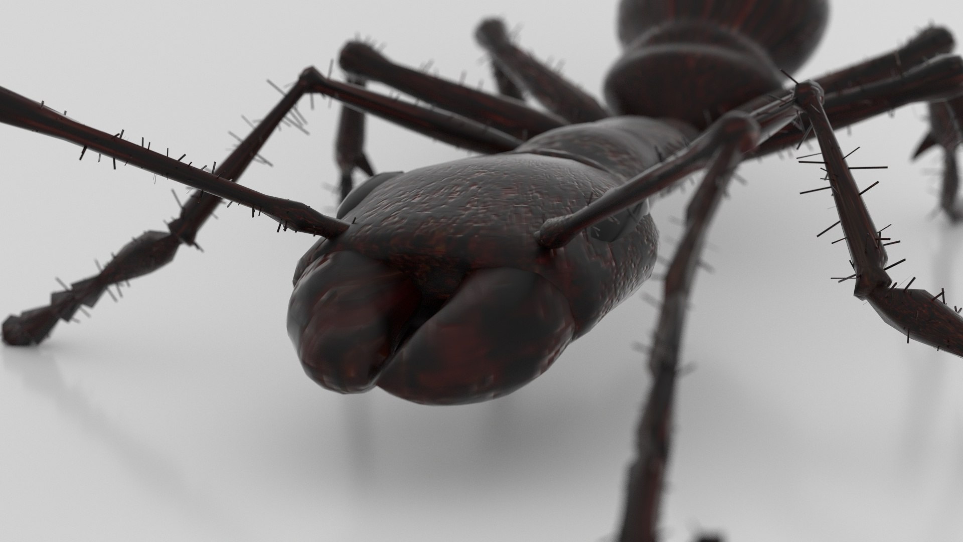 Ant Model - TurboSquid 168448