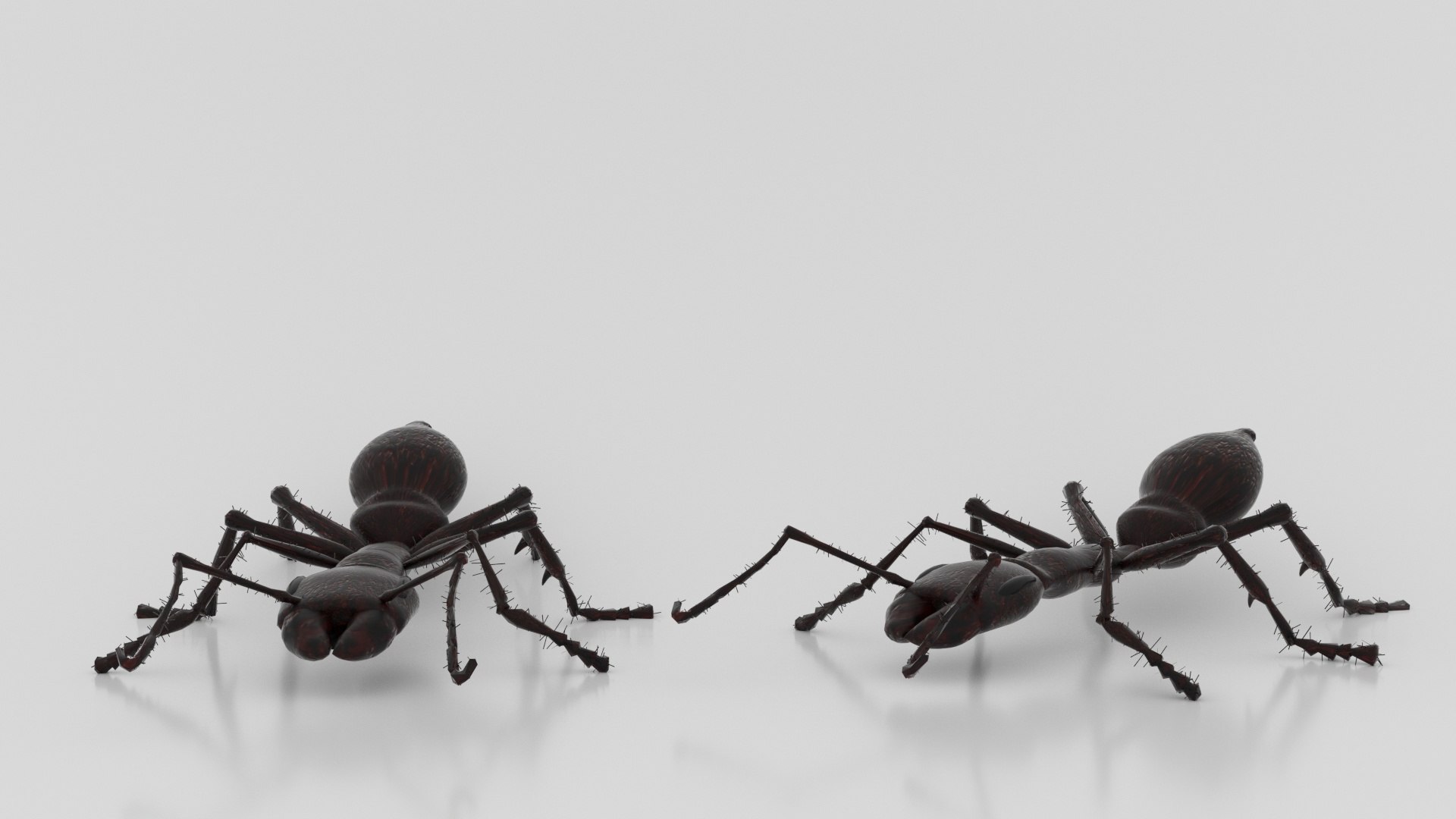 Ant Model - TurboSquid 168448