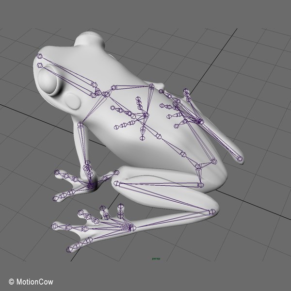 3d red-eyed tree frog model
