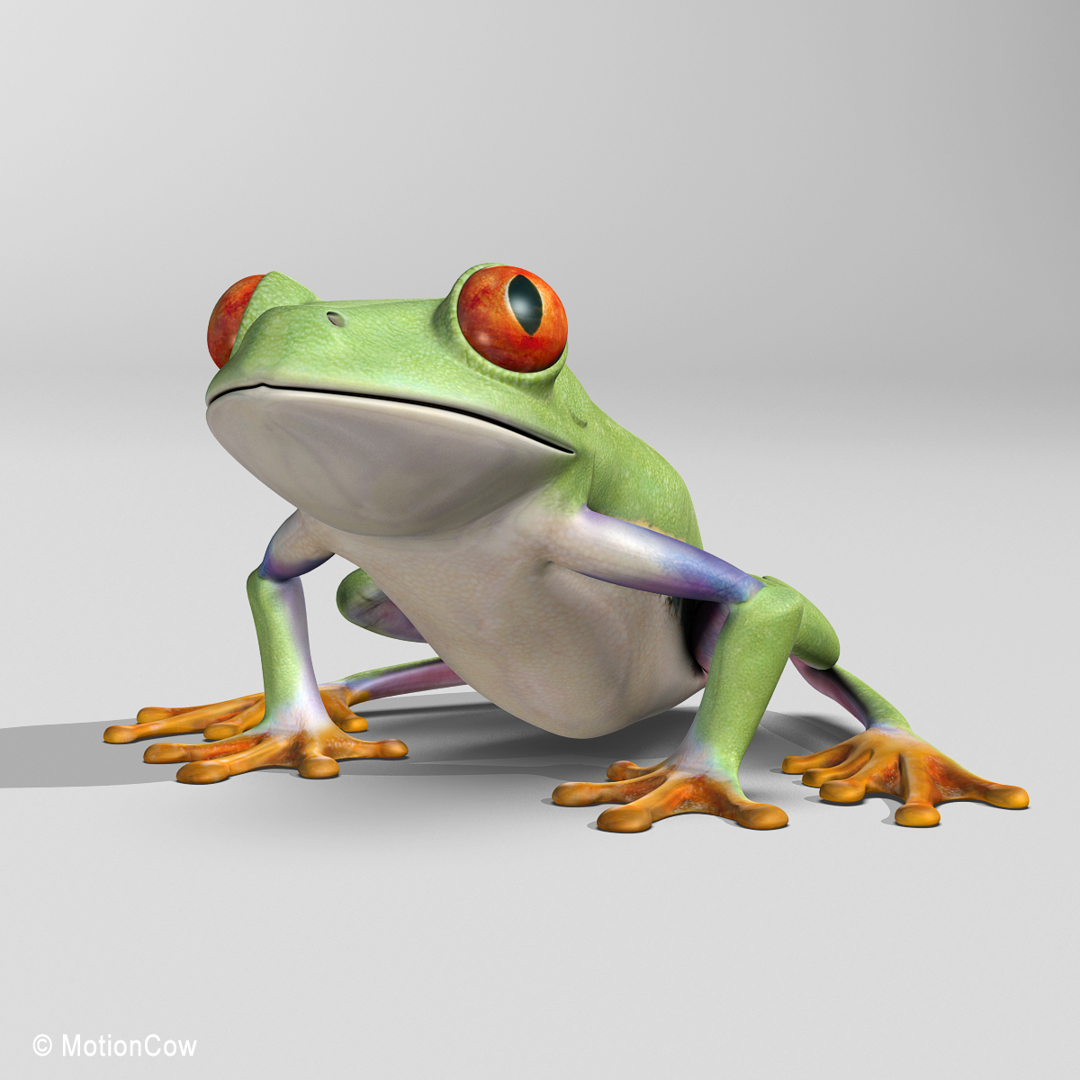 3d red-eyed tree frog model