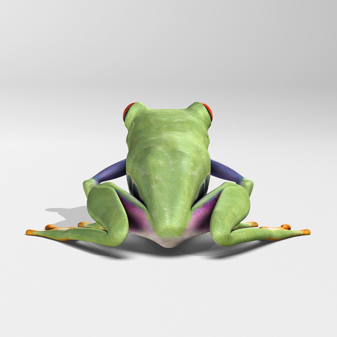 3d red-eyed tree frog model