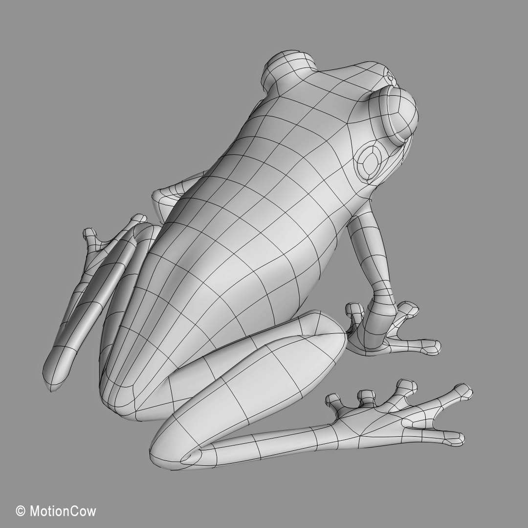 3d red-eyed tree frog model