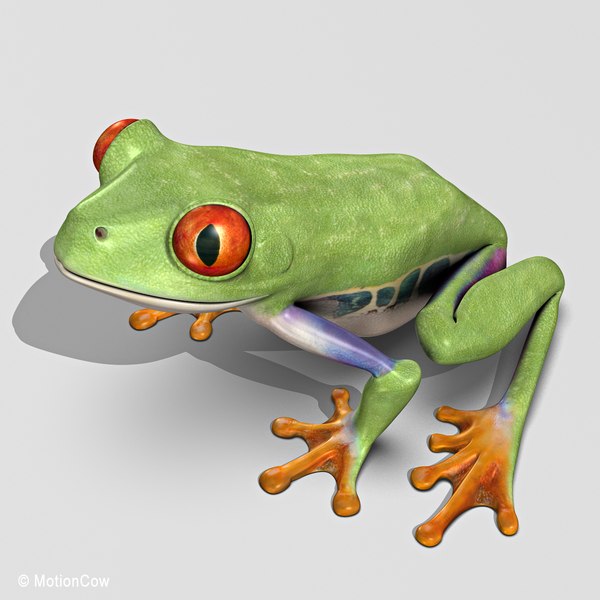 3d red-eyed tree frog model