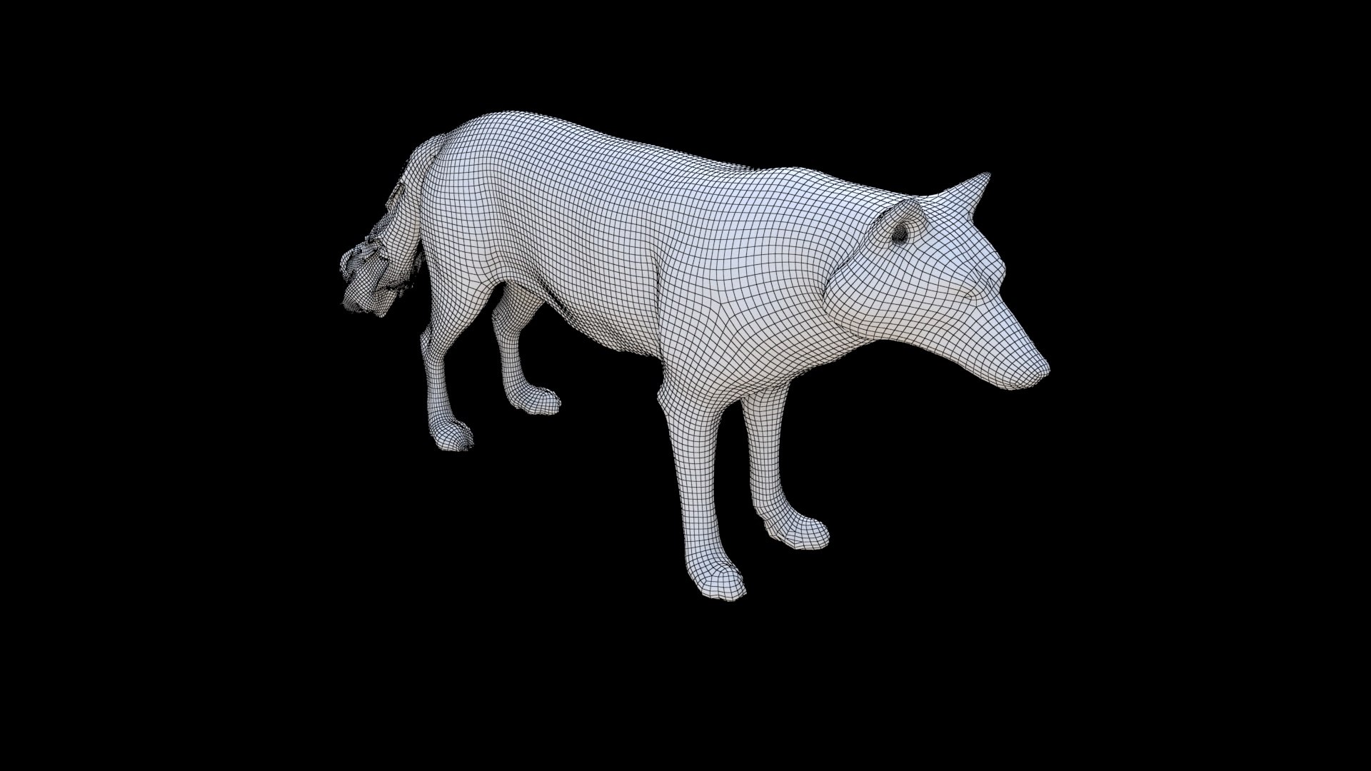 Wolf 3D Model - TurboSquid 2335044