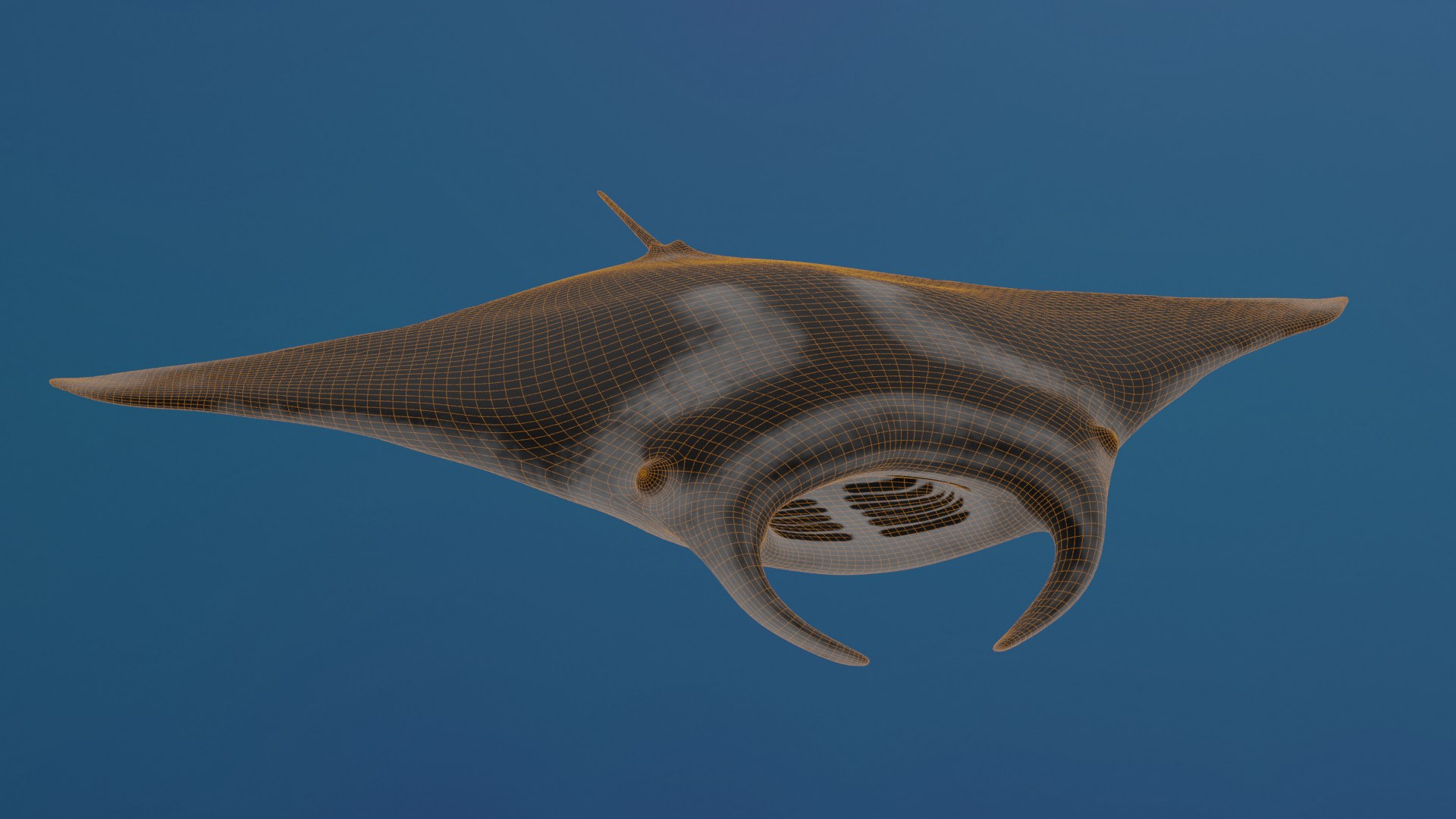 3D Giant Manta Swimming Animation - TurboSquid 1606556