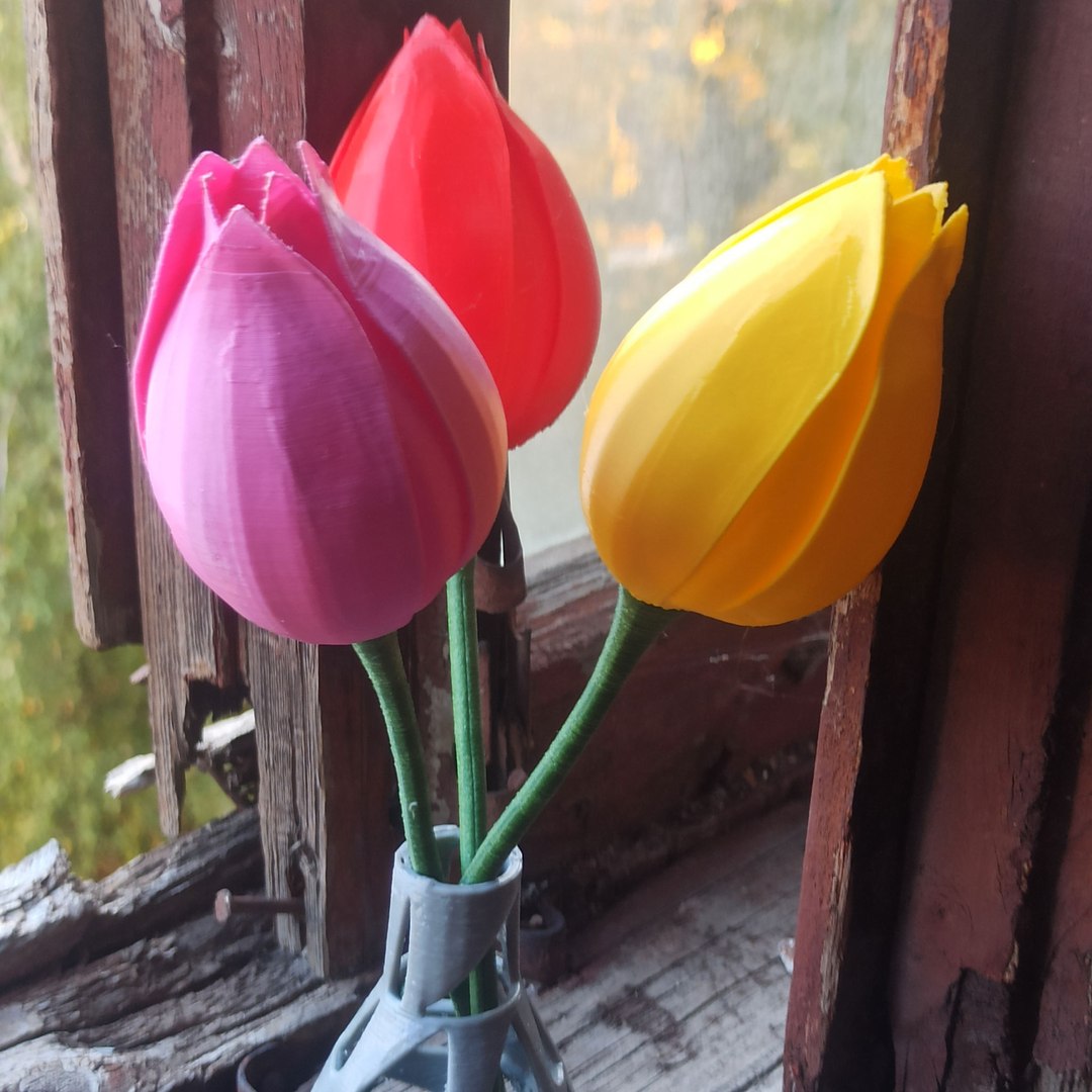 3D Tulip On A Stem 3d-print Ready 3D Print Model 3D Print Model ...