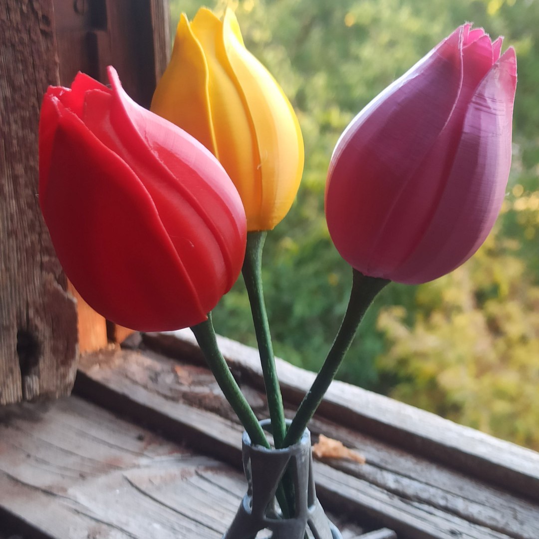 3D Tulip On A Stem 3d-print Ready 3D Print Model 3D Print Model ...