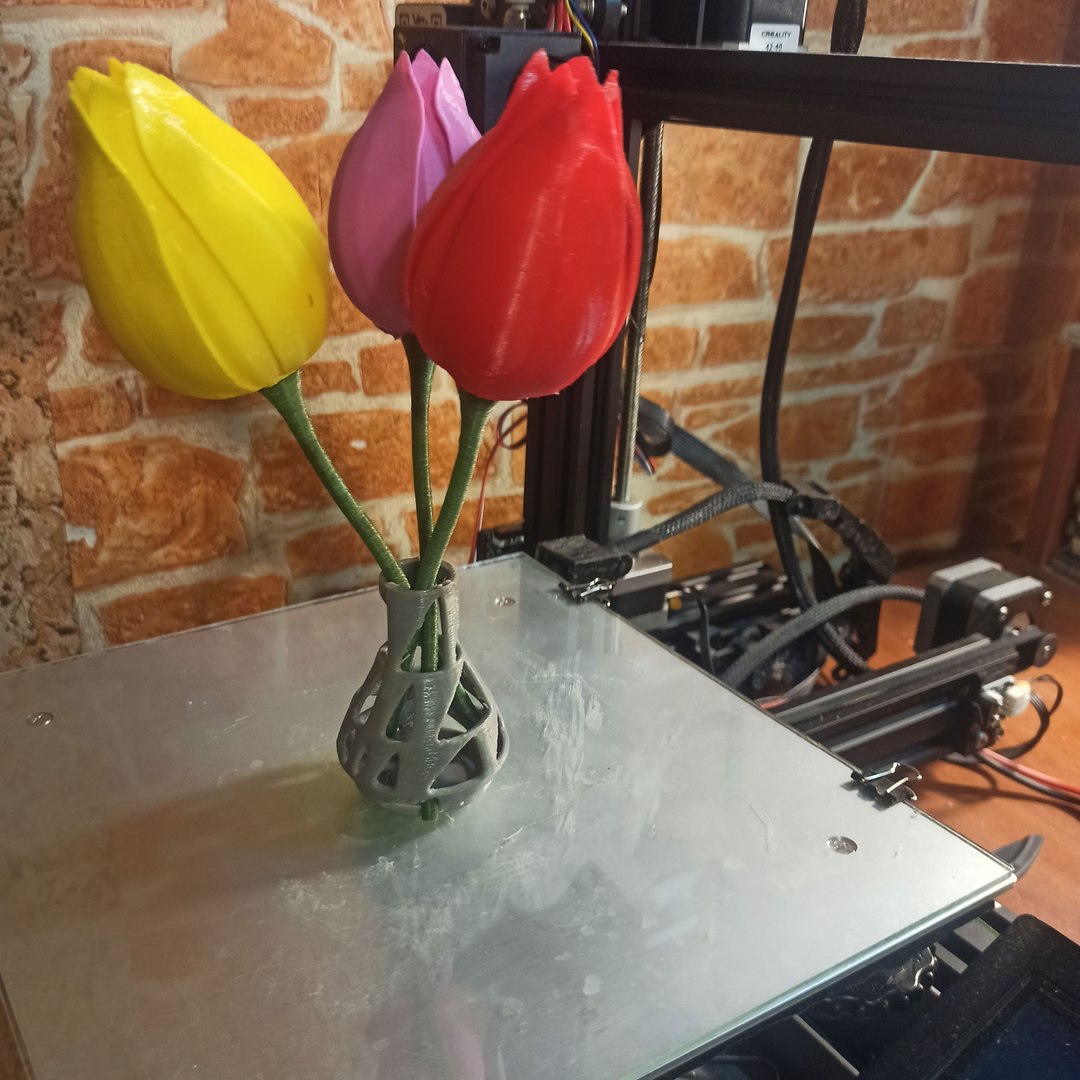 3D Tulip On A Stem 3d-print Ready 3D Print Model 3D Print Model ...