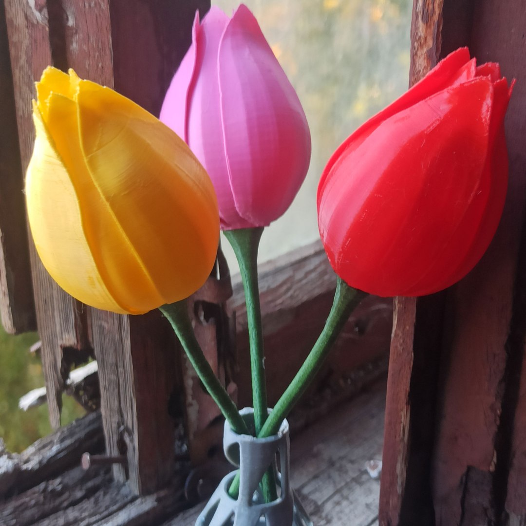 3D Tulip On A Stem 3d-print Ready 3D Print Model 3D Print Model ...