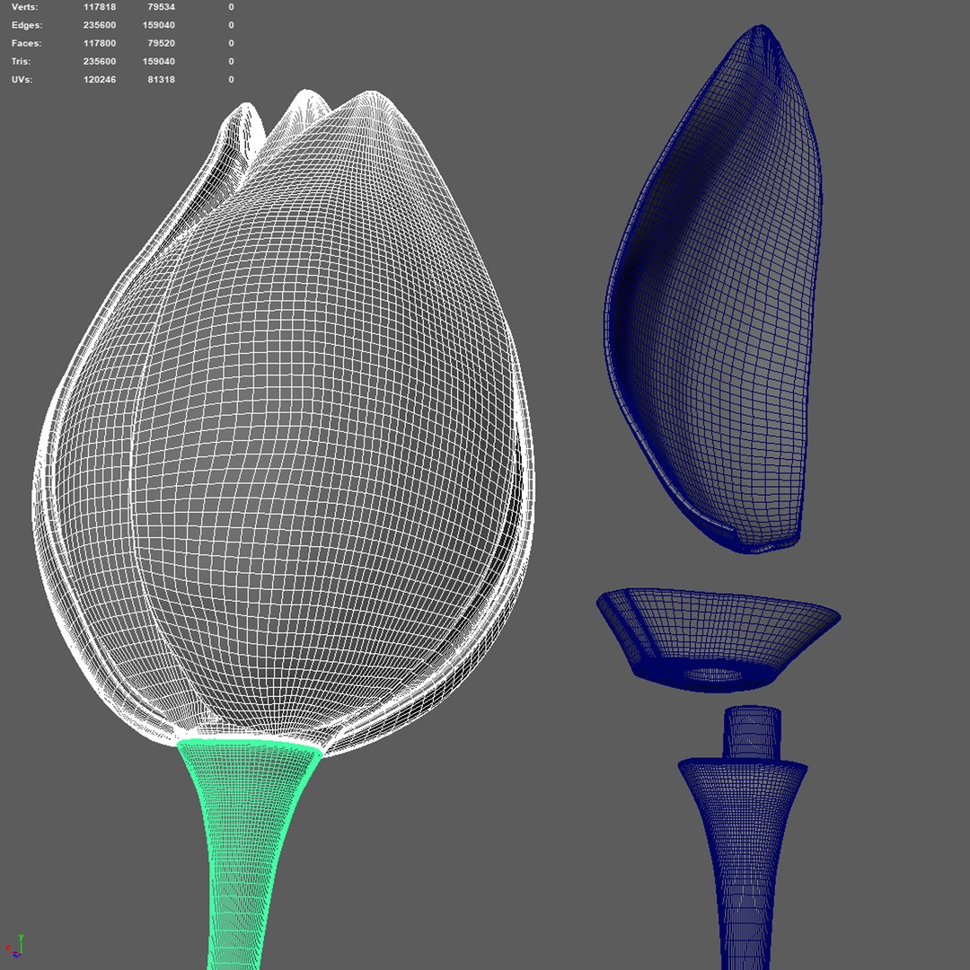 3D Tulip On A Stem 3d-print Ready 3D Print Model 3D Print Model ...