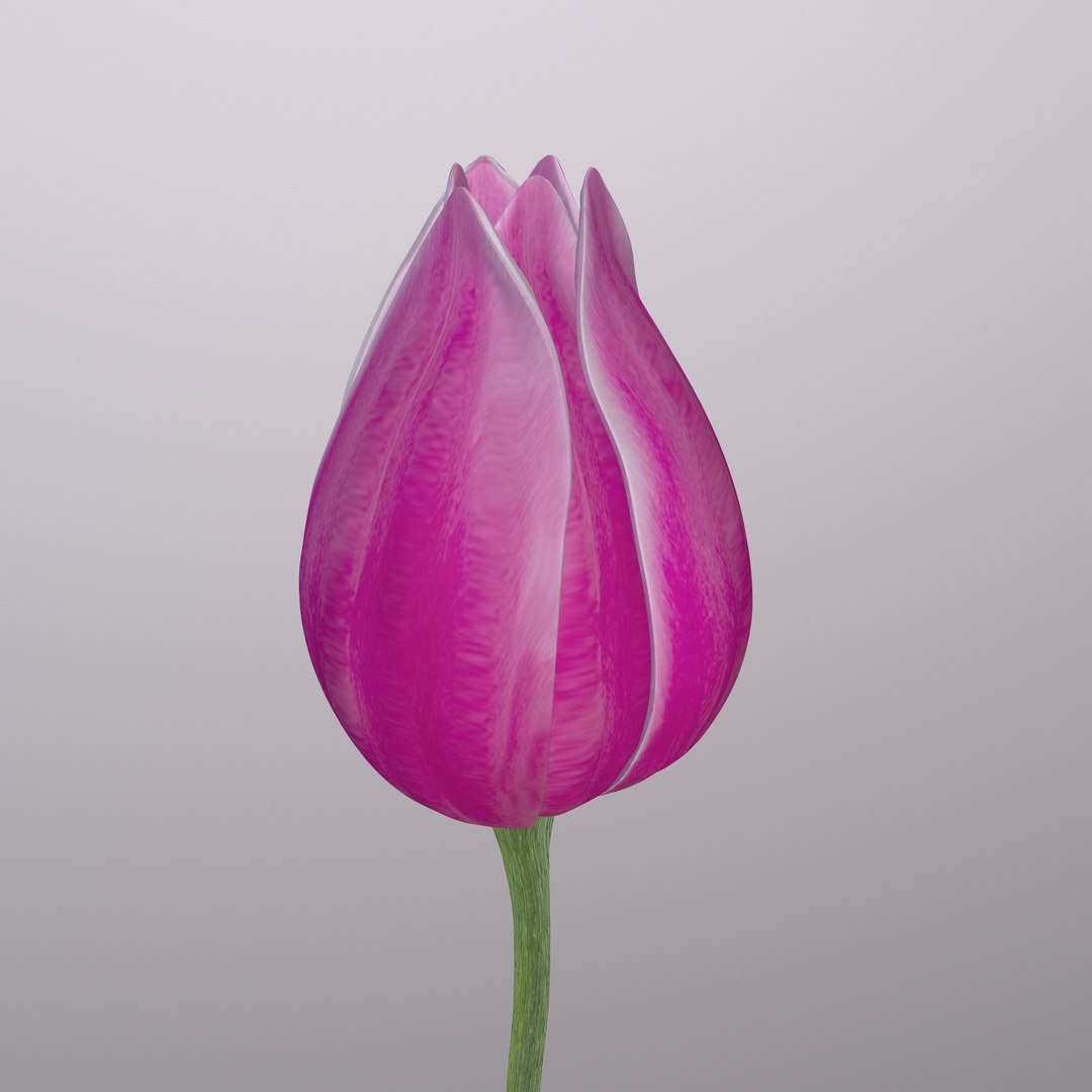3D Tulip On A Stem 3d-print Ready 3D Print Model 3D Print Model ...
