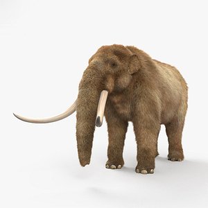 Mastodon 3D Models for Download | TurboSquid