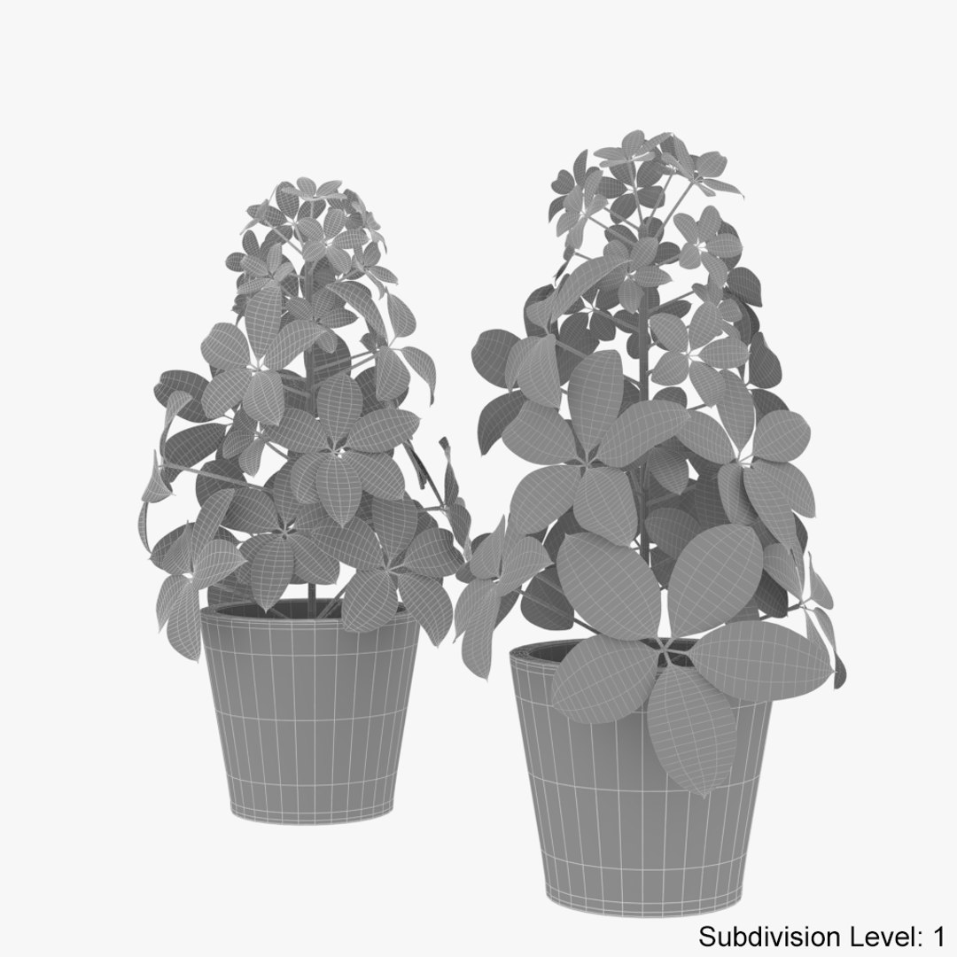 Plant leaf 3D model - TurboSquid 1211054