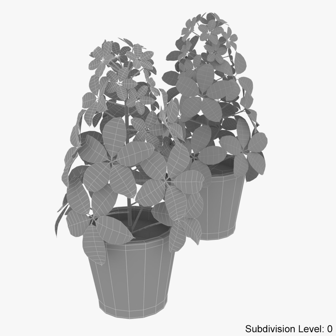 Plant leaf 3D model - TurboSquid 1211054