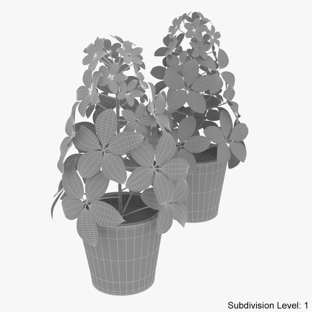 Plant leaf 3D model - TurboSquid 1211054