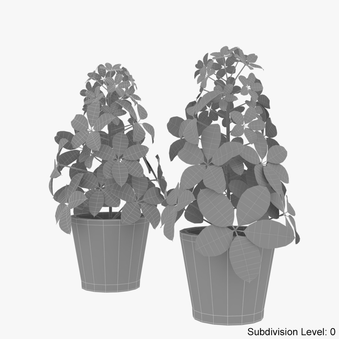 Plant leaf 3D model - TurboSquid 1211054