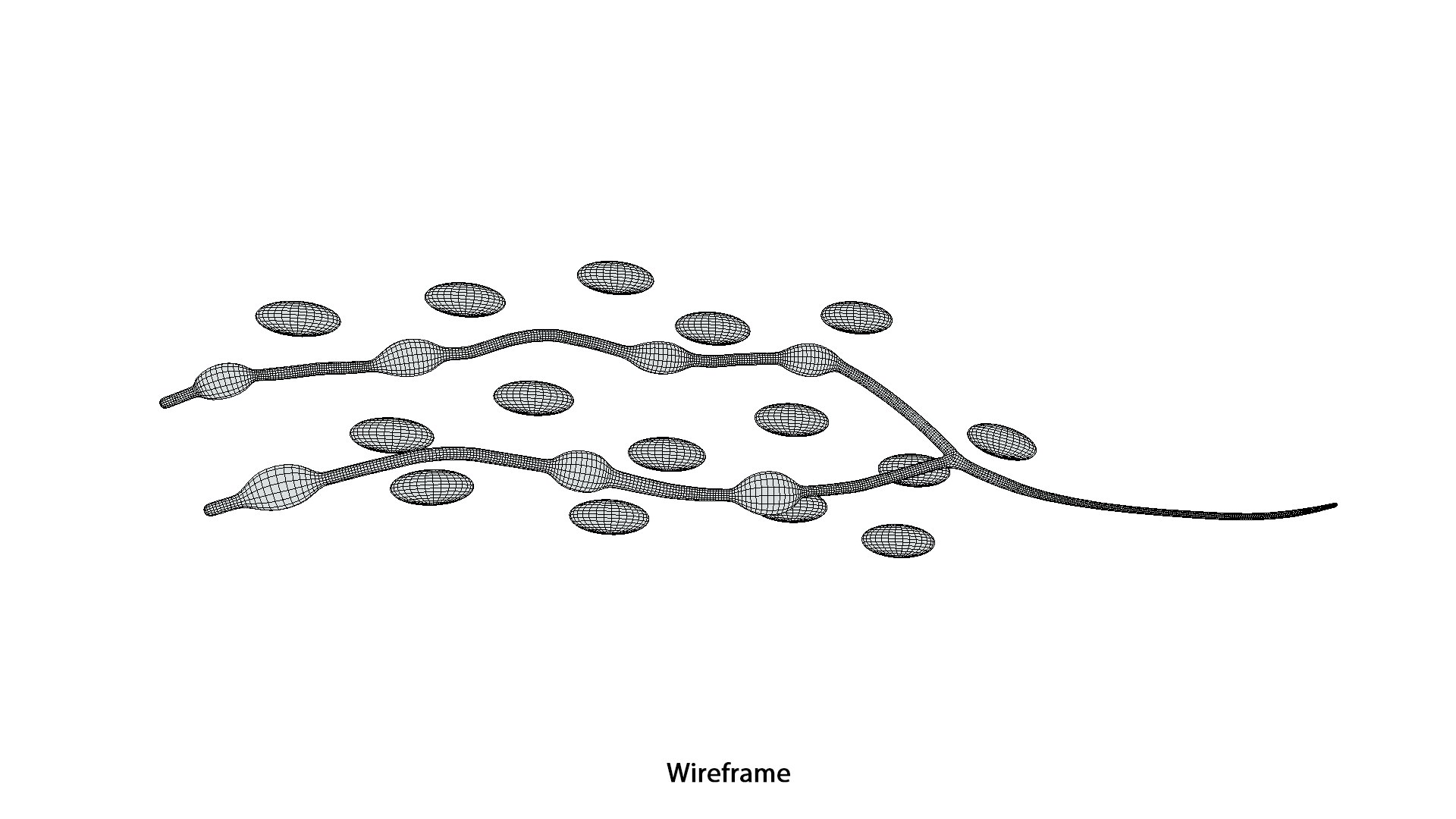 3D Single Vs Multi Unit Smooth Muscle - TurboSquid 2505638