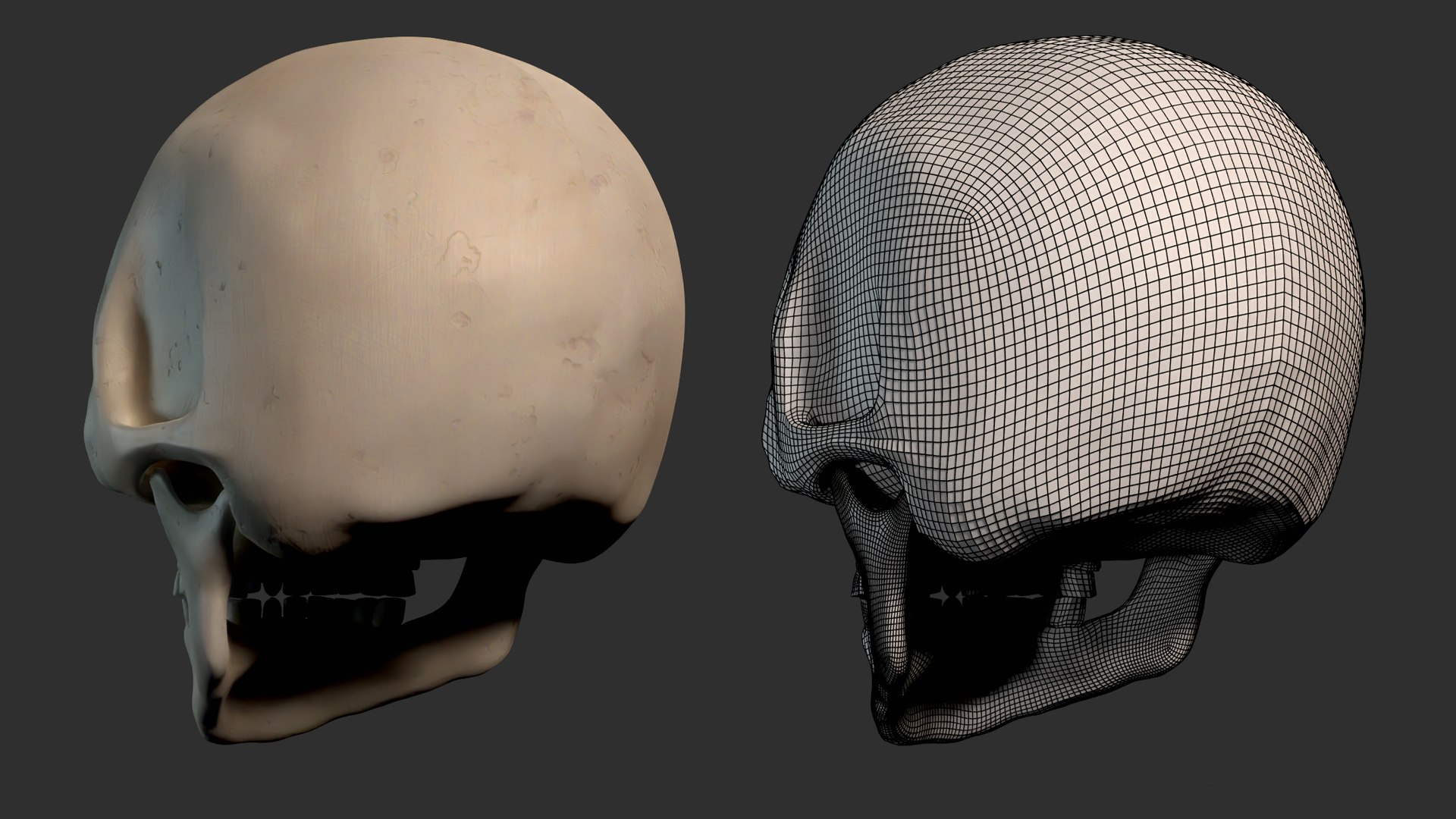 Human Skull model - TurboSquid 1807052