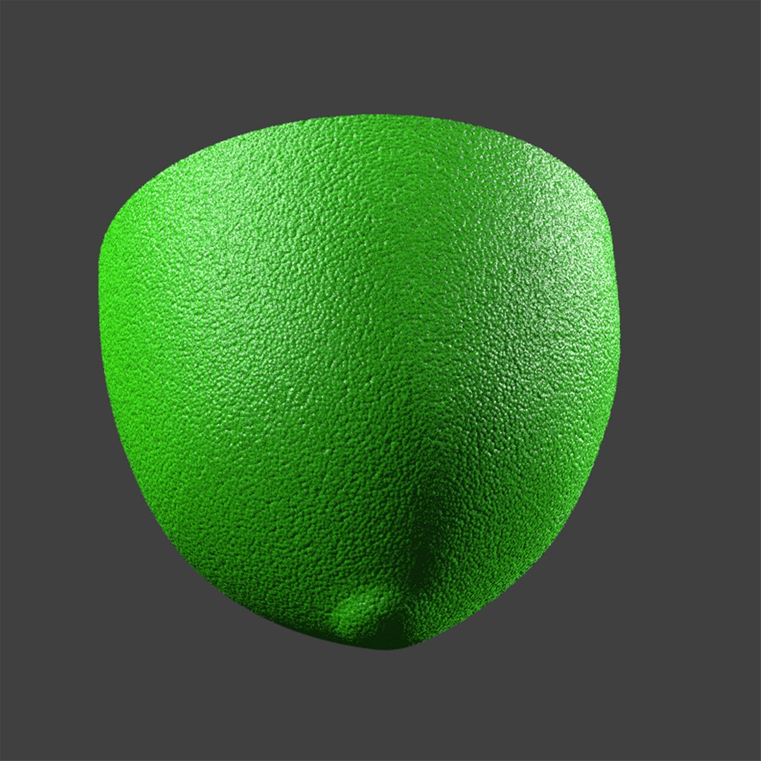 lemon slice 3d model