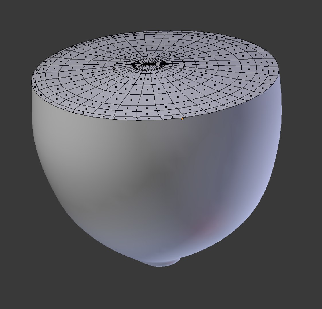 lemon slice 3d model