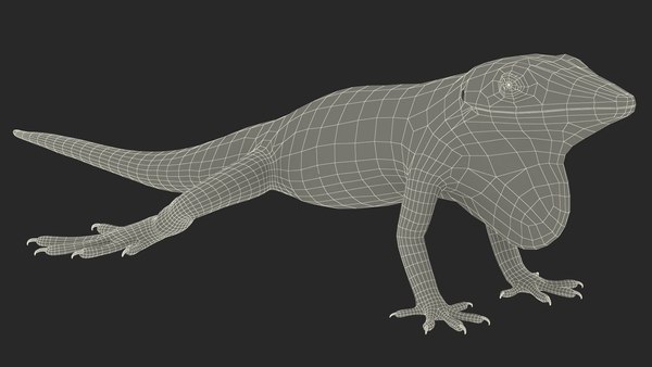 modelo 3d Carolina Anole Lizard preparado para Maya - TurboSquid 2130755
