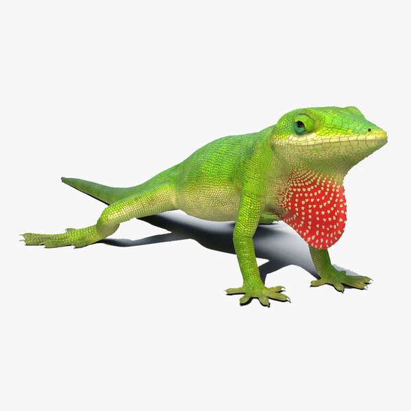 modelo 3d Carolina Anole Lizard preparado para Maya - TurboSquid 2130755