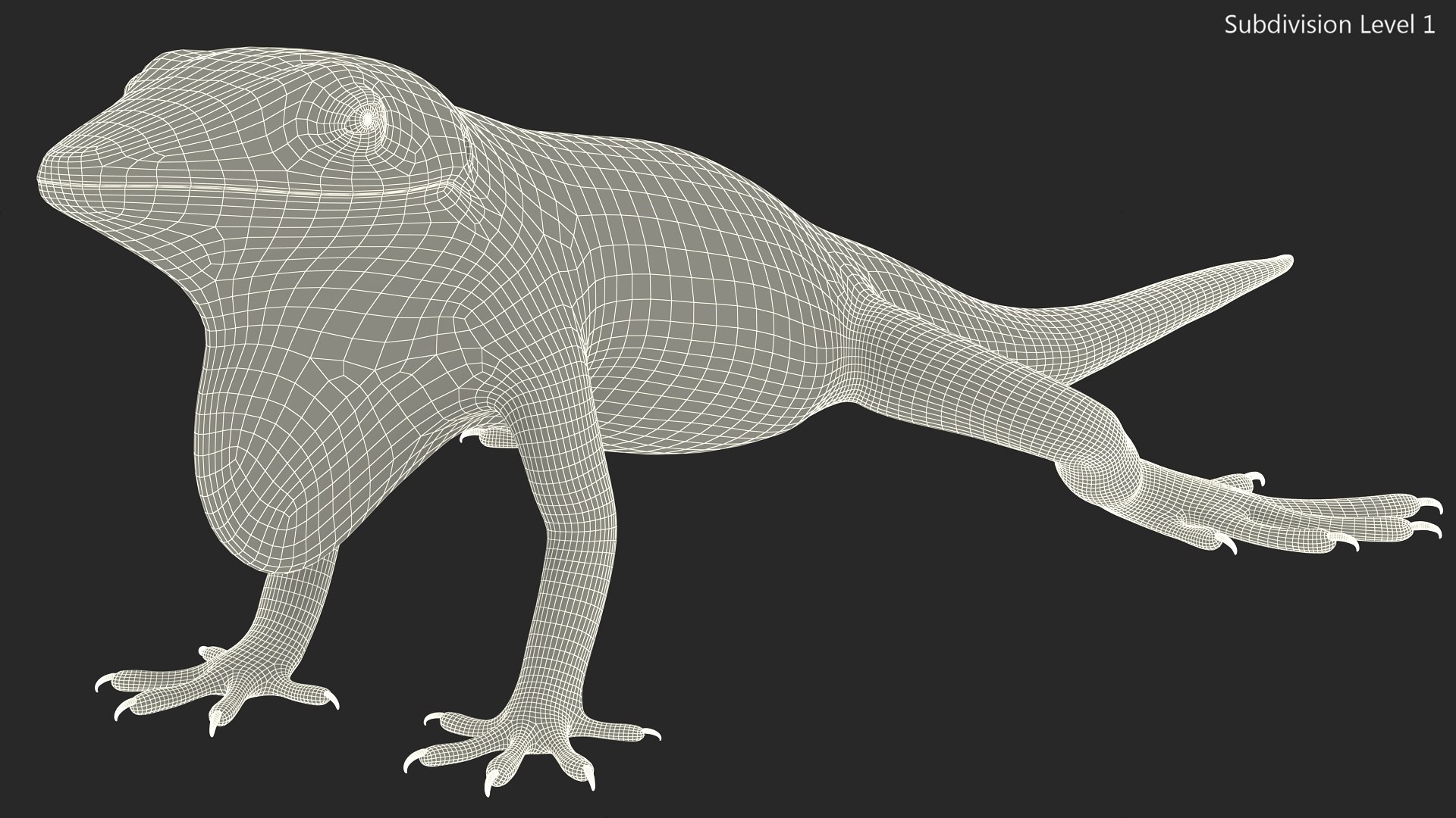 Carolina Anole Lizard Rigged For Maya 3D Model - TurboSquid 2130755
