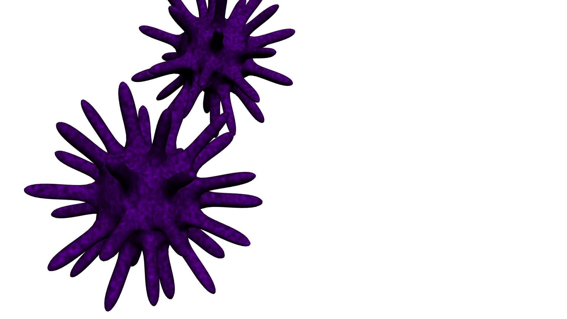3ds Max Virus