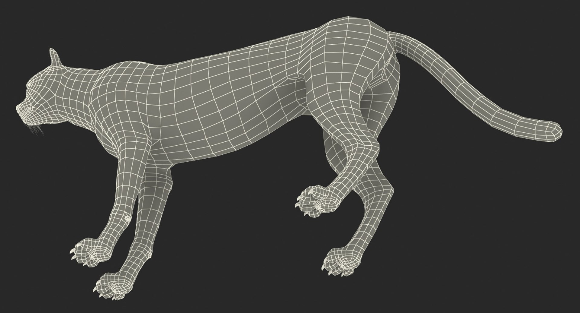 3D Cheetah Rigged - TurboSquid 1479187
