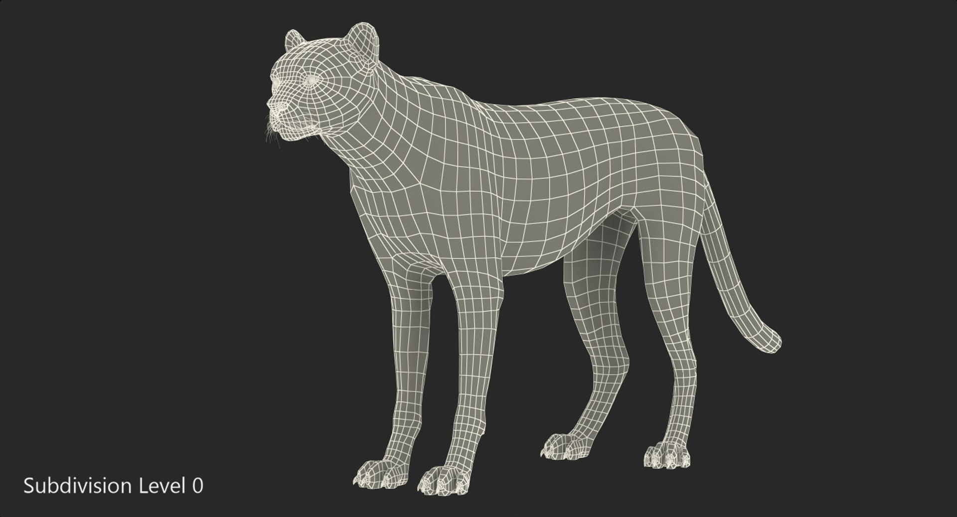 3D Cheetah Rigged - TurboSquid 1479187