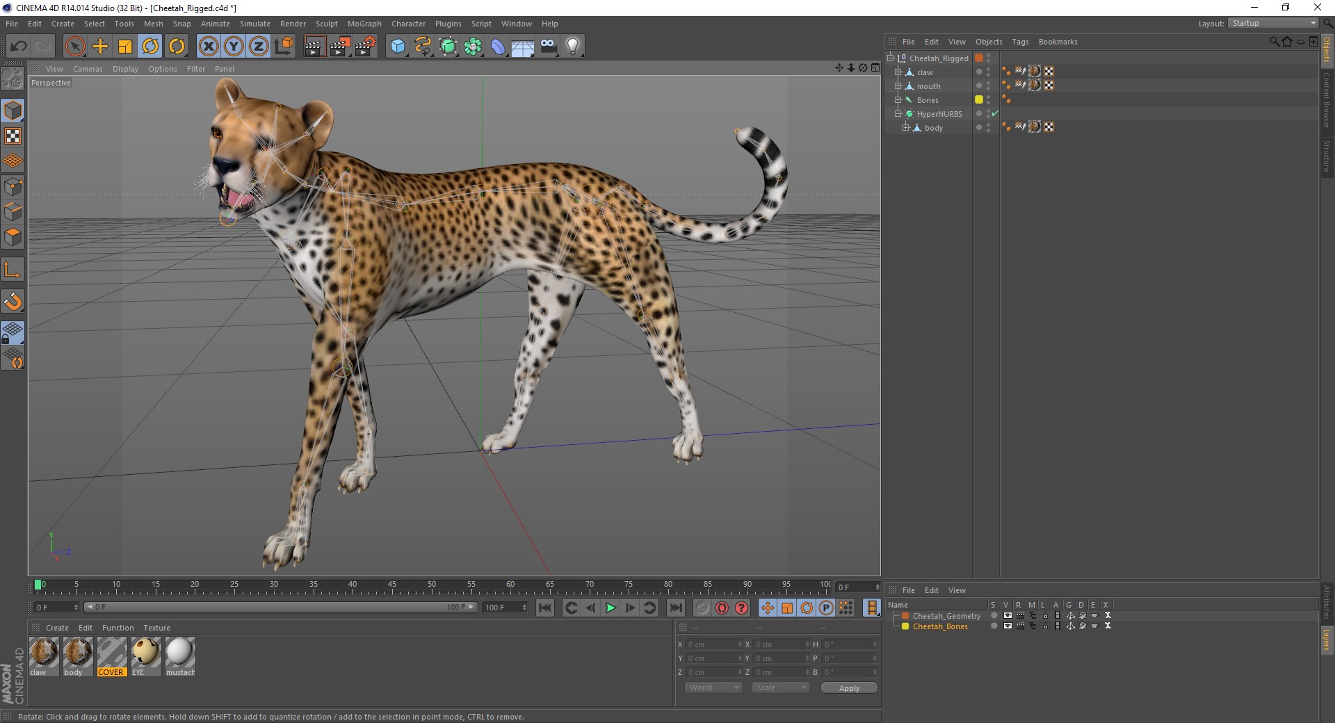 3D Cheetah Rigged - TurboSquid 1479187