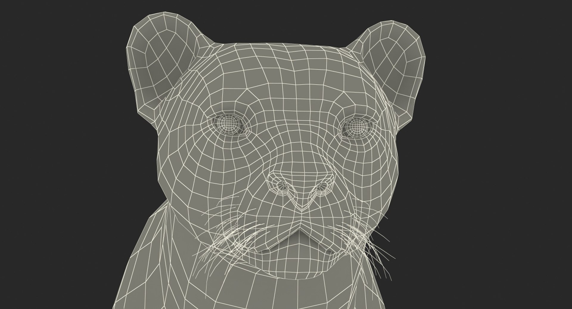 3D Cheetah Rigged - TurboSquid 1479187
