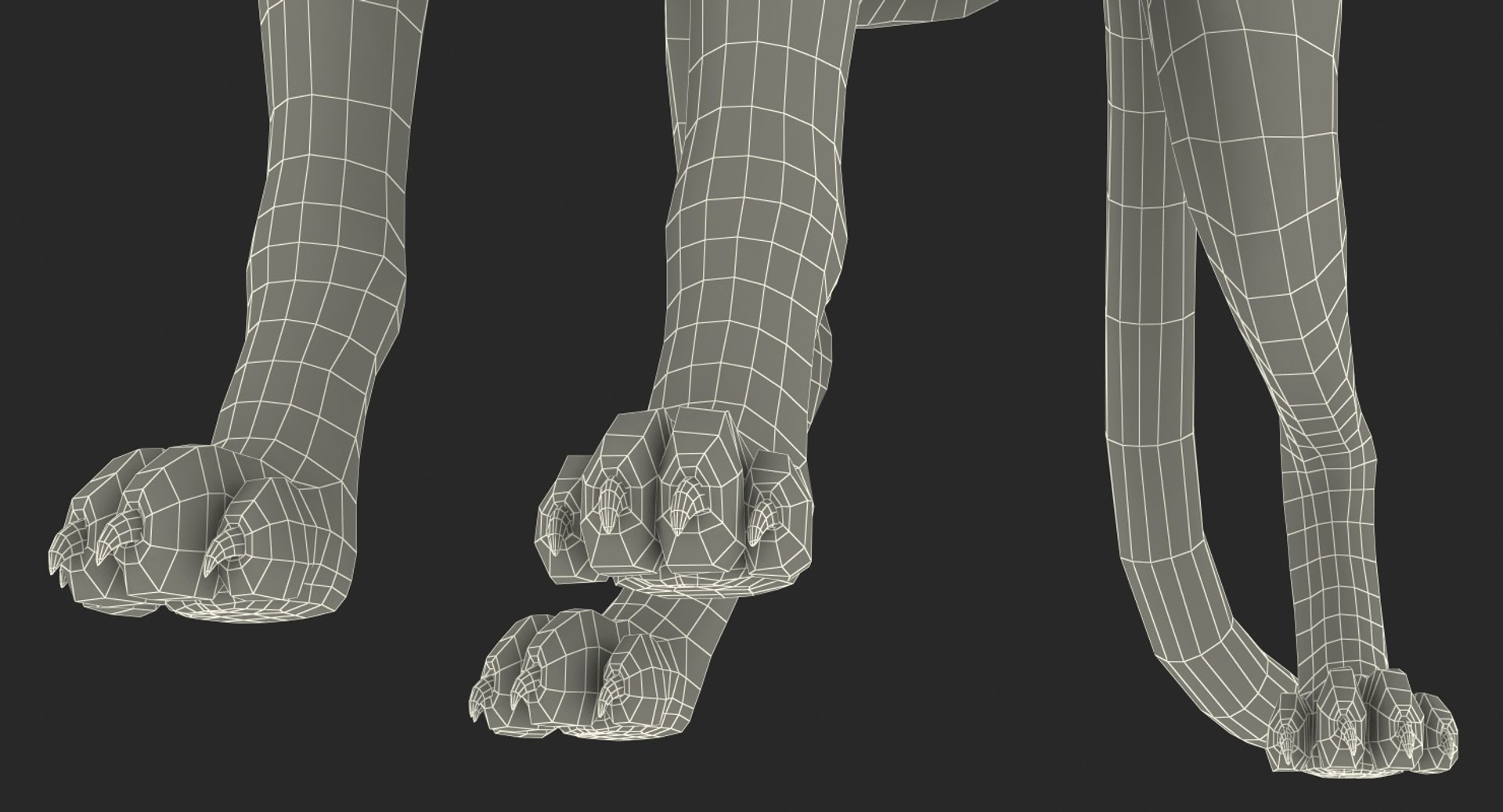 3D Cheetah Rigged - TurboSquid 1479187