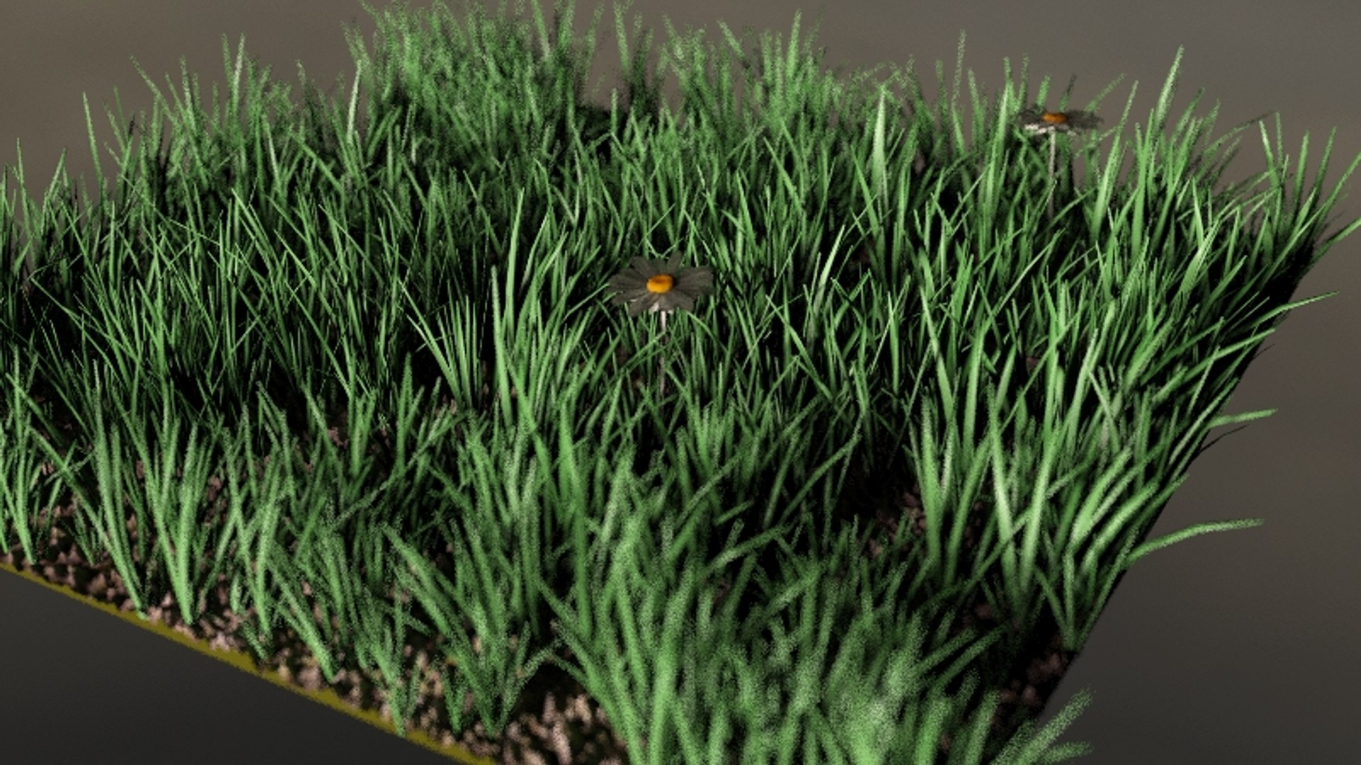 3d Daisy Meadow