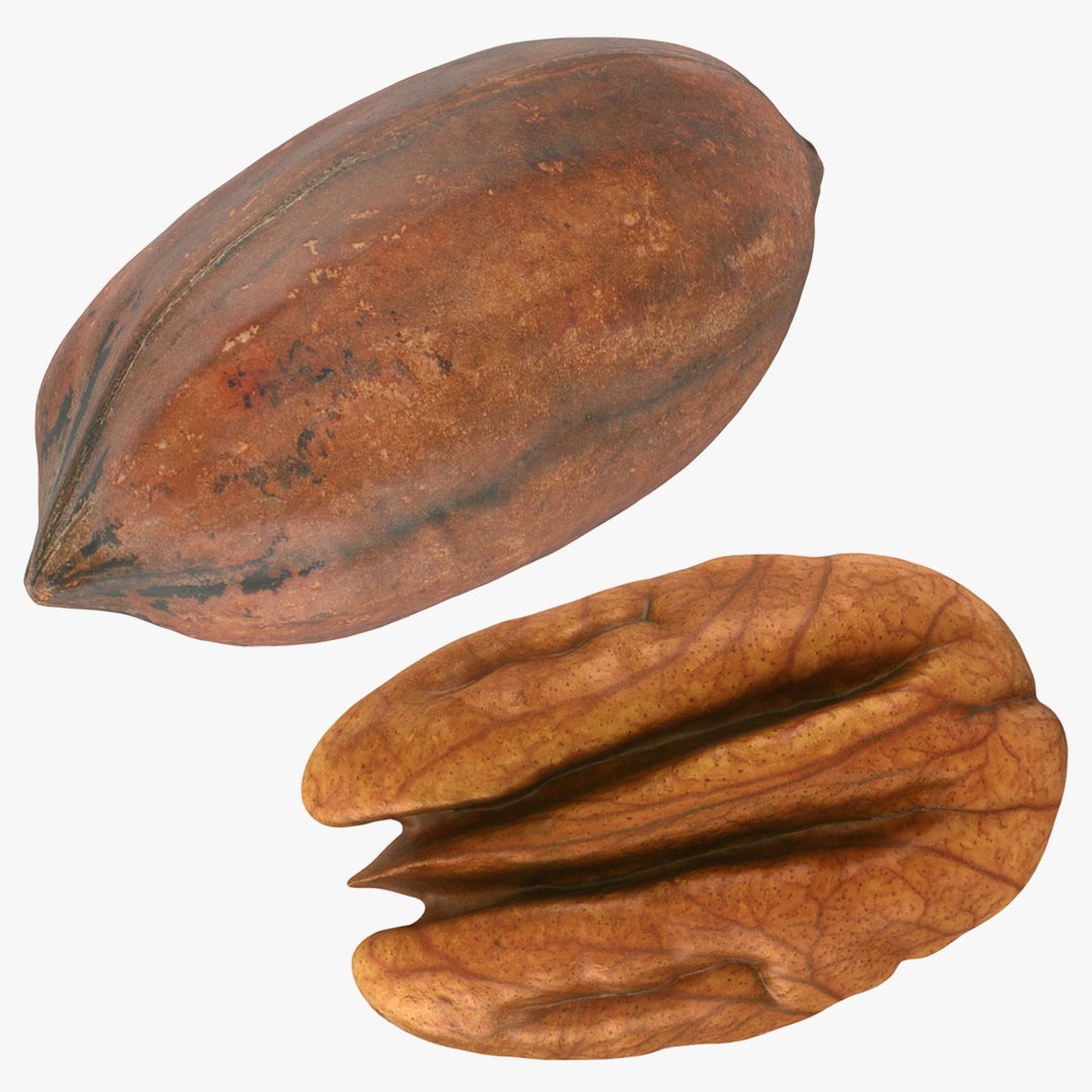 3D Pecan And Pecan Shell Collection Model - TurboSquid 2307479