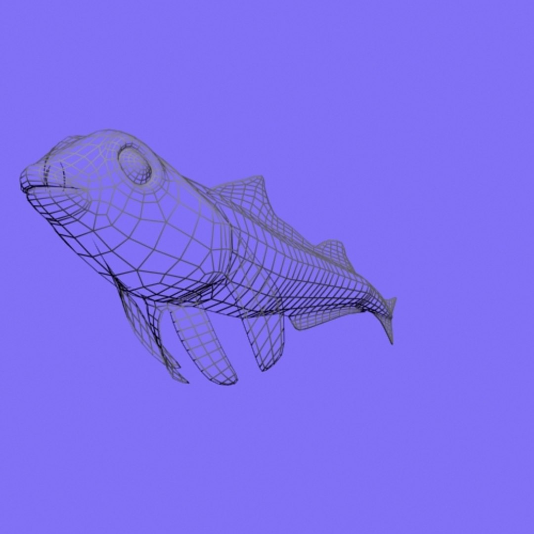 Fish Rigged 3d Model