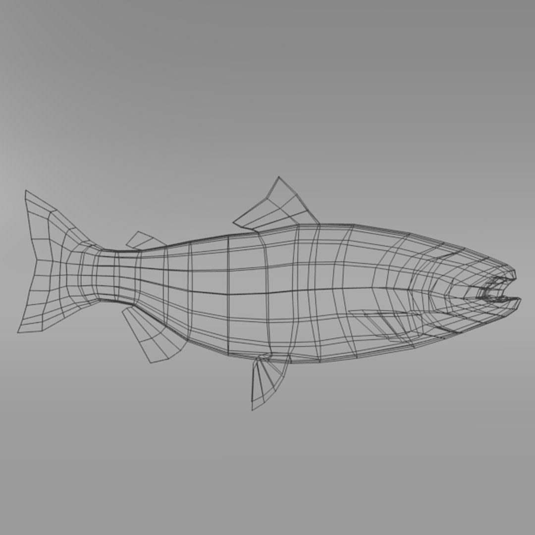 3D Salmon Model - TurboSquid 1316806