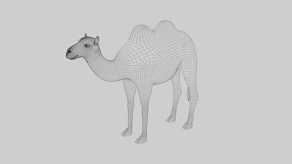 Fully rigged camel 3D model - TurboSquid 1672225