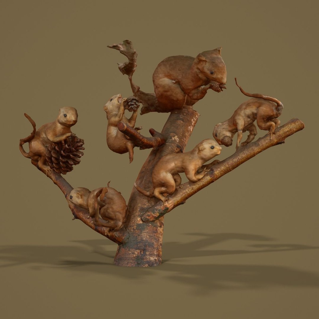 3D Model Animal Digital Photogrammetry - TurboSquid 1162959